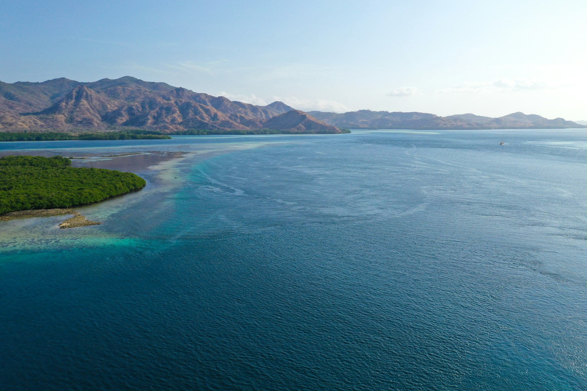 The Top 5 Challenges Facing Oceanic Conservation Today - Geoseas Global