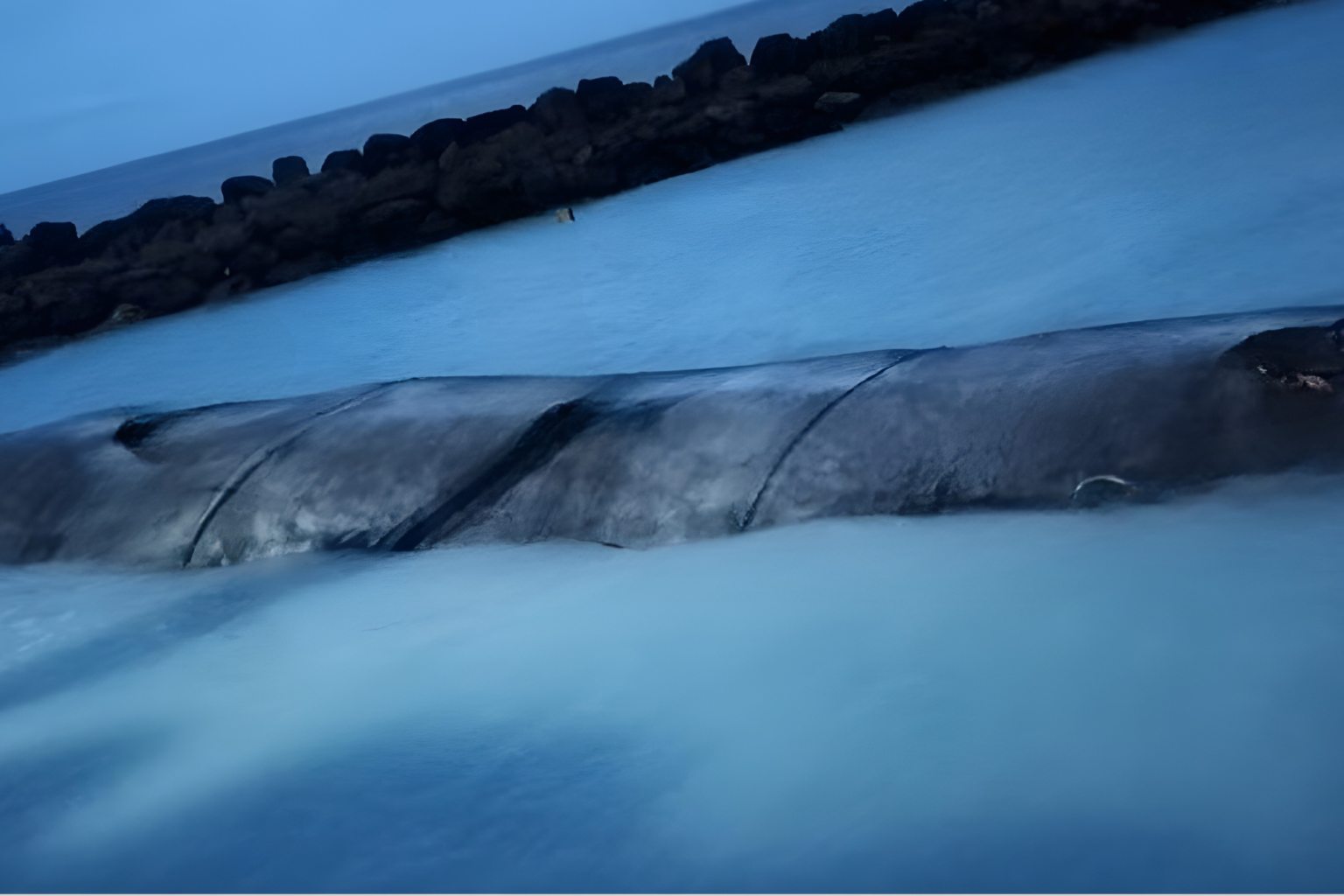 The Role of Geocontainers Geotubes in Shoreline Protection and Land ...